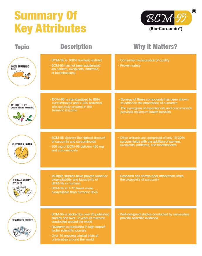BCM-95 - Supercharged Turmeric for Superior Inflammation Support - ARC ...